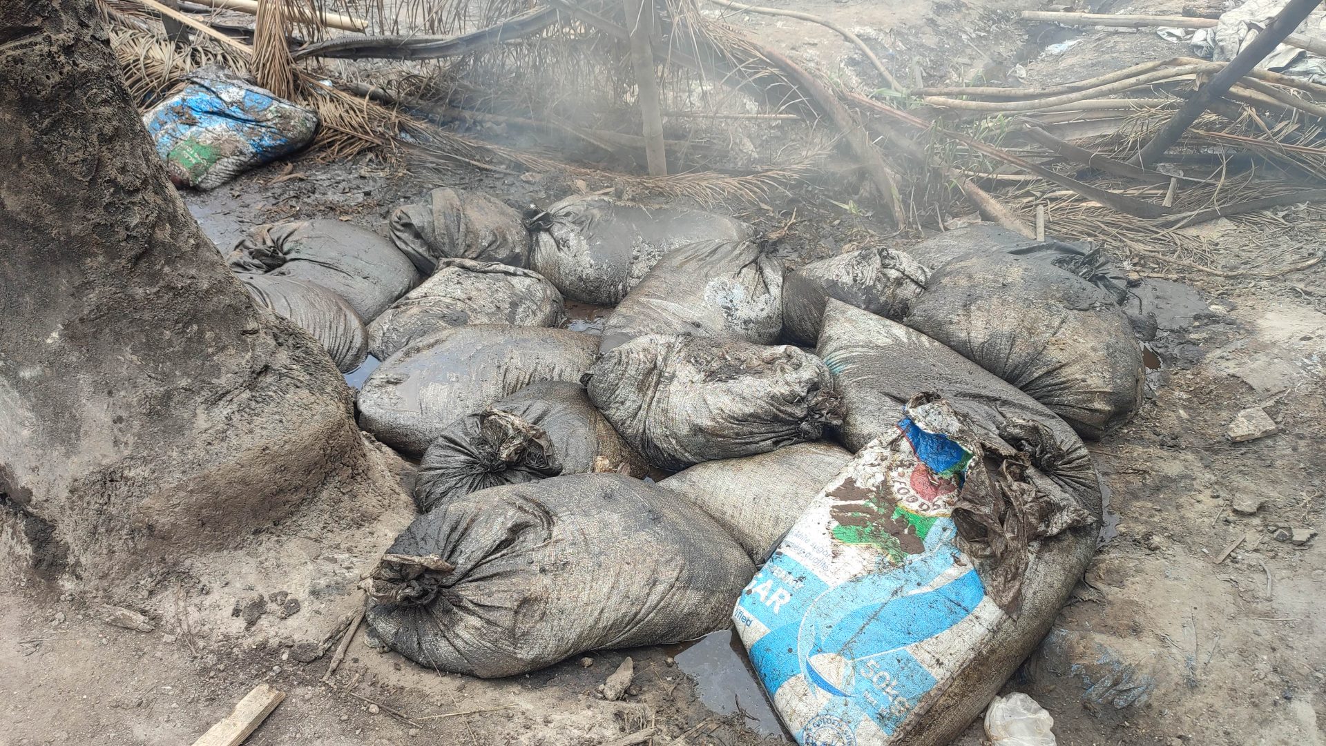 Special Report: Nigerian women defy the odds to transform palm kernel ...